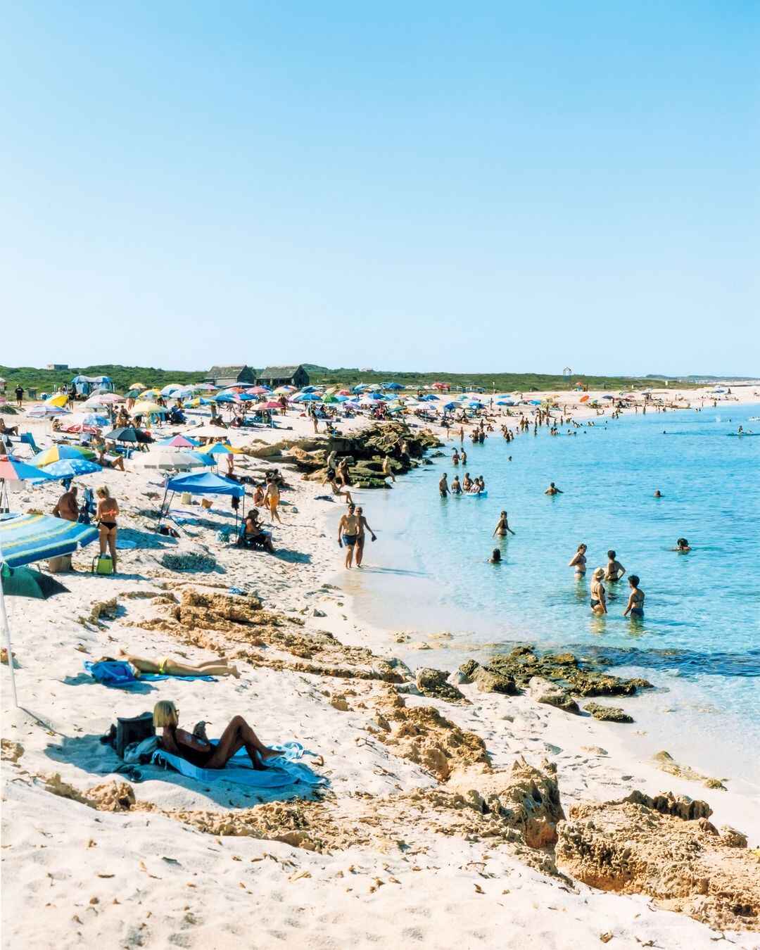 イタリア | TRANSIT.jp｜トランジット